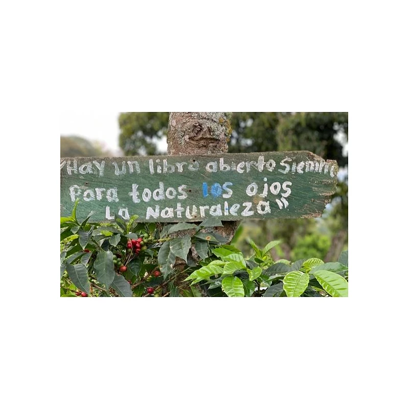 Specialty coffee from COLOMBIA San Jose| Cafe Gourmet Weight 250g Type ...