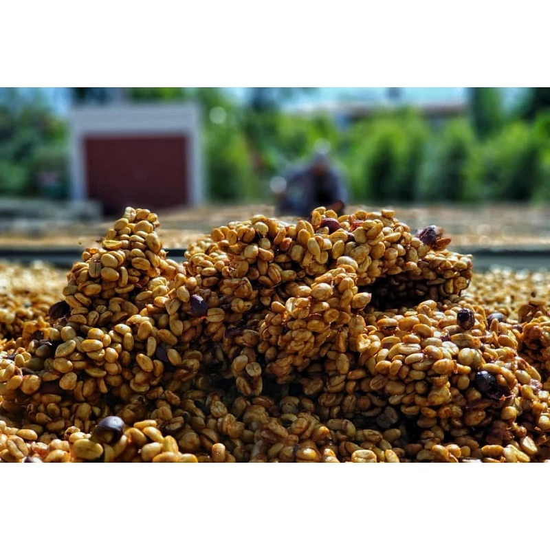 CAFÉ de ESPECIALIDAD de COSTA RICA Black Diamond | Café Gourmet ...