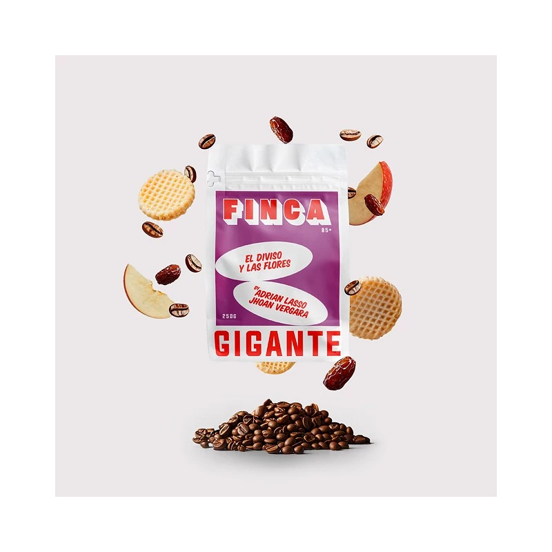 Welcome Pack cafe de especialidad Gigante Coffee | Café Gourmet