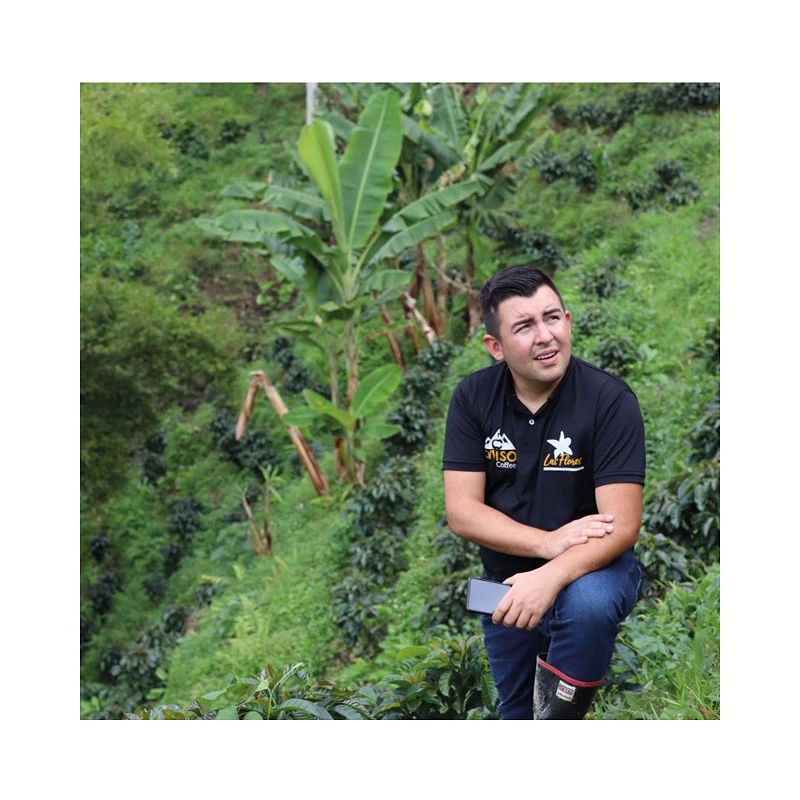 SPECIALTY COFFEE from COLOMBIA Pink Bourbon| Cafe Gourmet Type of grind ...