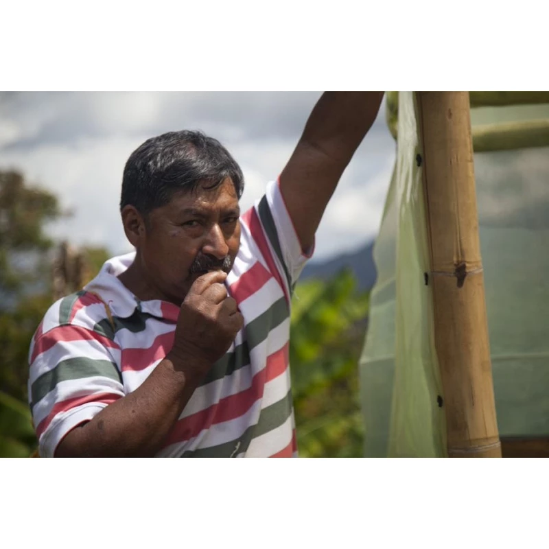 Specialty Coffee Capsules from Colombia San Jose| Cafe Gourmet Número ...